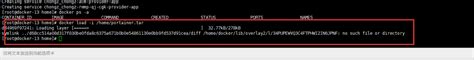 误删overlay2文件夹引发宕机 删除overlay2导致服务器进不去 csdn博客