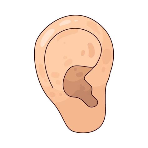 Cartoon Ear Vector Art Icons And Graphics For Free Download