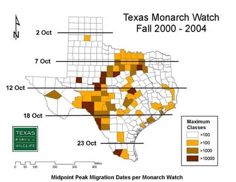 Texas Migration Map Headed To Texas Thousands Of Migrants Coming From