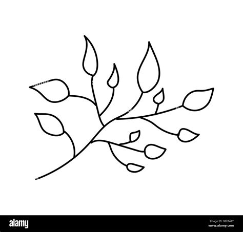 Minimalist Leaf Branches Line Art Botanical Outline Illustration Stock