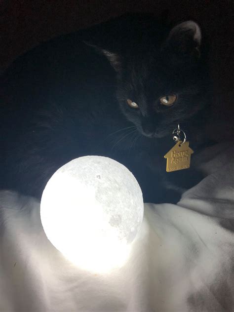 Witchy Pixie Fashion Photographer April Nicole Creative Hmua Evenia Stylist Francesca