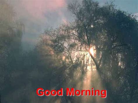 3 Tooth Preprationppt