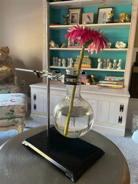 Chemistry Beaker Flower Vase Chemistry Teacher T Lab Tech T