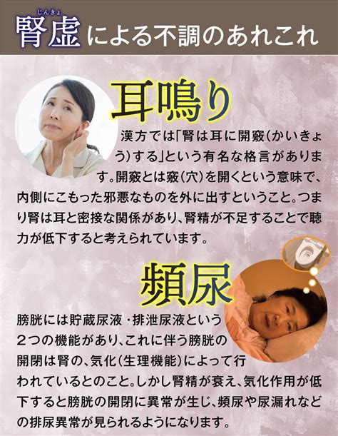 八味地黄丸 Web限定 お試しキャンペーン