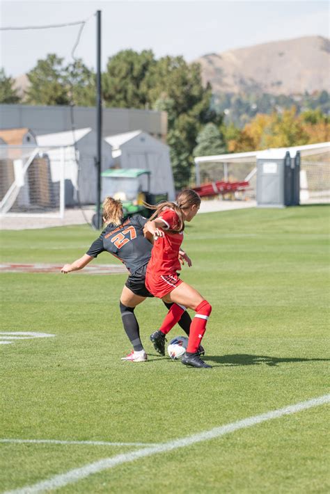 D85 5194  Bill Blycker Flickr