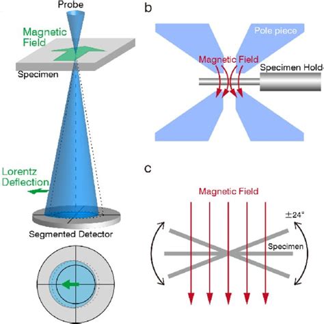 A Schematic Of Dpc Stem B Schematic Of A Crosssectional View Of Download Scientific