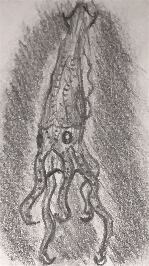 Speculative Evolution Generator R Speculativeevolution