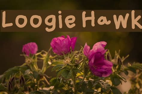 Loogie Hawk Font