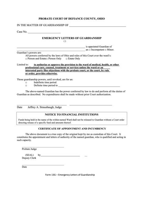 Fillable D C Form 13g Emergency Letters Of Guardianship Printable Pdf Download