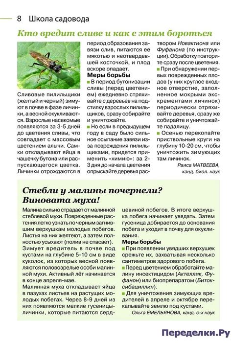 Садовод и огородник 8 2022 Переделки РуПеределки Ру