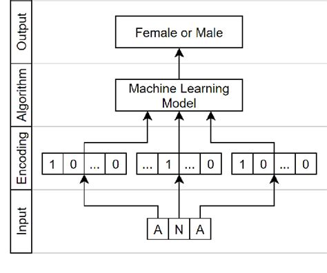 figure 1 from predicting gender by first name using character level