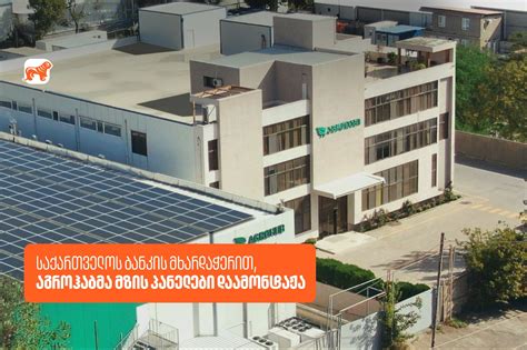 საქართველოს ბანკის მხარდაჭერით აგროჰაბმა მზის პანელები დაამონტაჟა Entrepreneur