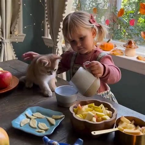 Video Sakshi Jain Posted On Linkedin