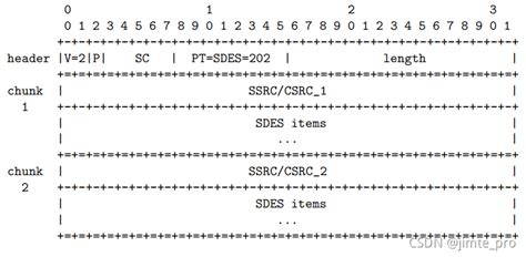 网络流媒体 Rtp和rtcp协议rtp包头 Csdn博客