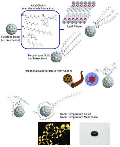 Diverse Assembly Structures Formed By Alkylated Fullerenes Reprinted