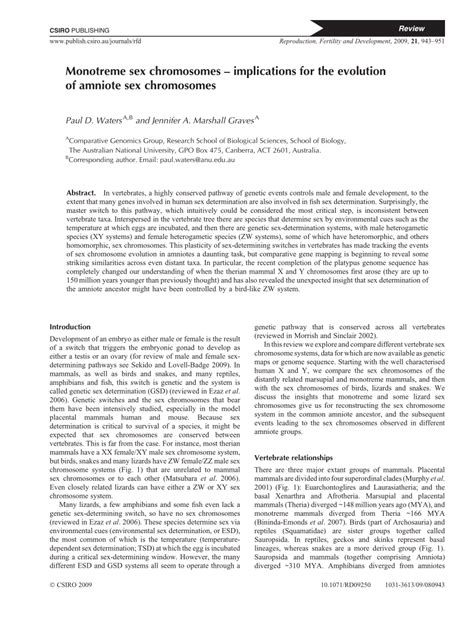 Pdf Monotreme Sex Chromosomes Implications For The Evolution Of