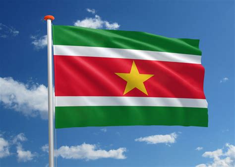 Vlag Suriname Bestel Bij MastenenVlaggen Nl