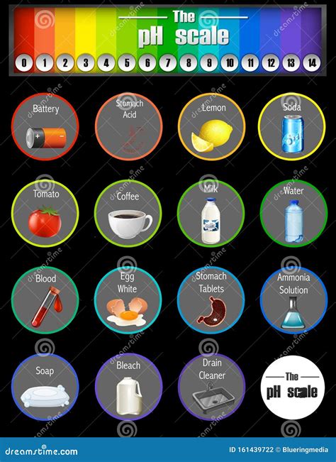 Acids Neutral And Bases Substances Scale With Examples Outline Diagram Vector Illustration