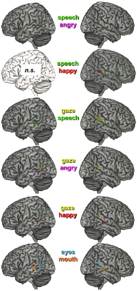 localization of clusters contributing most to the binary classification