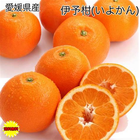 いよかん 訳あり 45kg 送料無料 愛媛県 中島 宮内伊予柑 3lサイズ 45kg お試し ご家庭用 の通販はau Pay マーケット