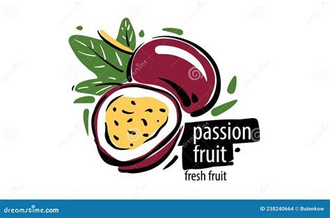 Vector Passion Fruit Clip Art Jungle Fruit Illustration Hand Drawn