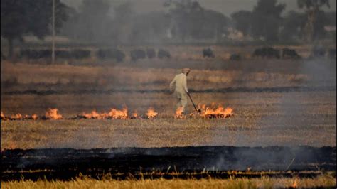 Haryana Cites NASA Data For Rising Farm Fires In Punjab Hindustan Times