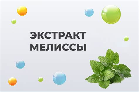 Экстракт мелиссы: что это такое, и для чего организму нужно? - Consumed
