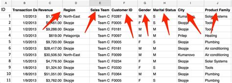 Using Countif Function To Describe Categorical Variable