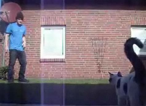 Never Breakdance With Your Cat