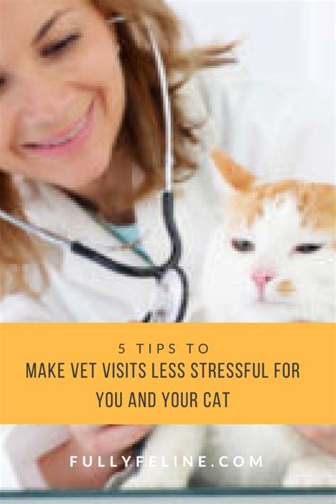 Make Vet Visits Less Stressful For Your Cat