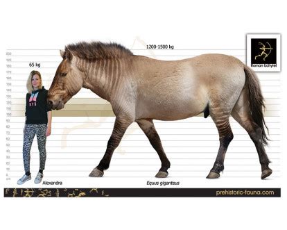 Western Horse Prehistoric Animals Extinct Animals Horses