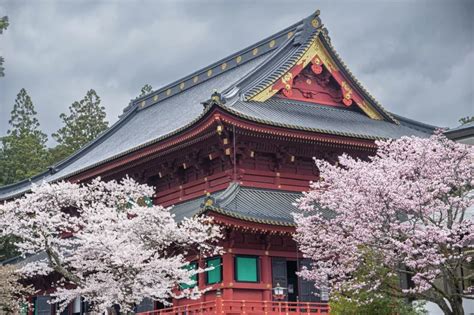 Las Mejores Excursiones Desde Tokio Katt Travel