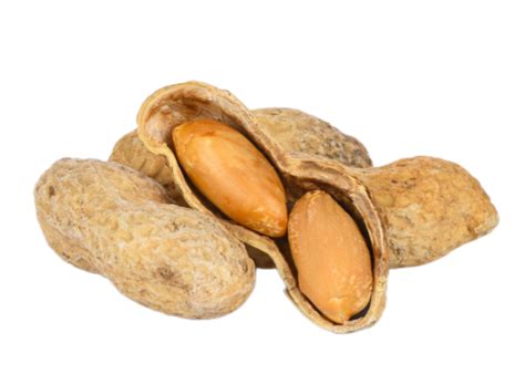 食物发霉不能吃为何长毛的豆腐却可以食用 知乎