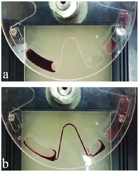 The Top View Of A Centrifugal Microfluidic Disc A The Liquid Is