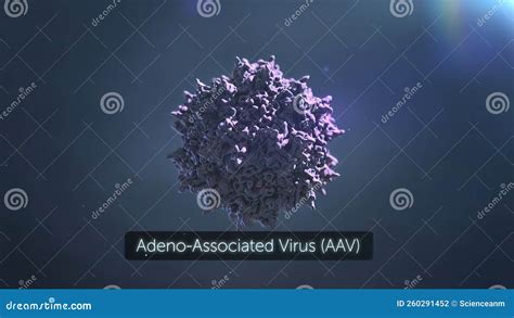 Antibody Therapies For The Prevention And Treatment Of Viral Infections