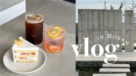 Korea Vlog 釜山のカフェ最高☕️海雲台スカイカプセル｜부산 여행 브이로그 │ カフェ動画まとめch