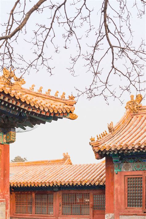 新品培训 国潮新系列，满足年轻人需求新主张！家居空间的设计