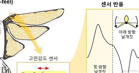 아주대 날갯짓 드론 독자적 비행 제어 기술 개발
