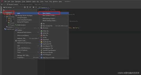 【c】c 开发环境配置（rider 一个net 跨平台集成开发环境）rider Ide Csdn博客