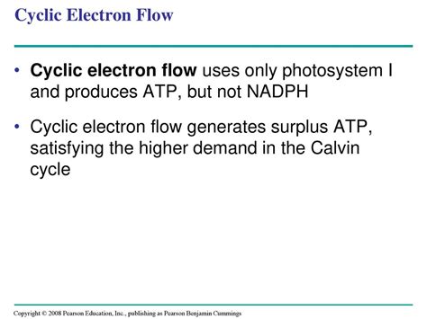 Cyclic Electron Flow