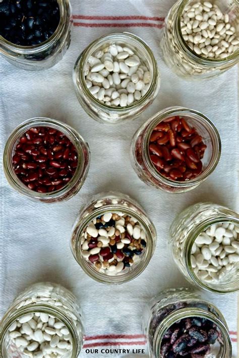 Save Time The Easy No Soak Method For Canning Dry Beans Our Country Life
