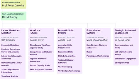 Organisational Chart Jobs And Skills Australia
