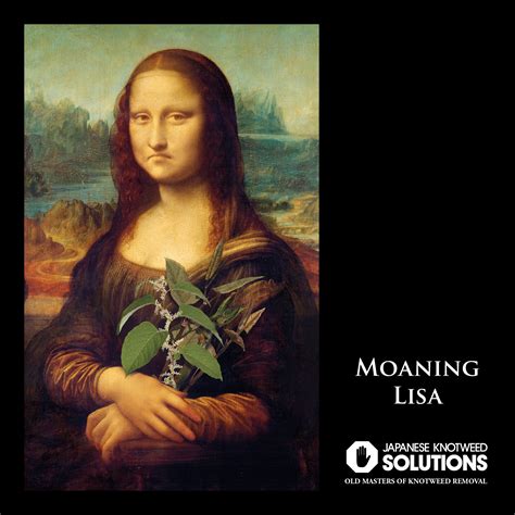 Moaning Lisa Japanese Knotweed Removal Specialists