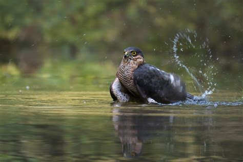 In Badik Hou Ervan Fotoclub Dongen