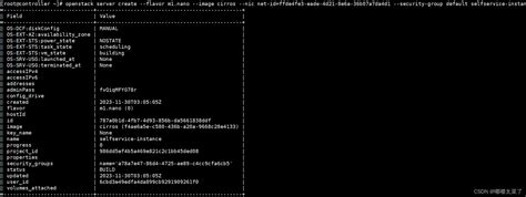 【openstack Train安装】十三、创建实例openstack Train网络 Csdn博客