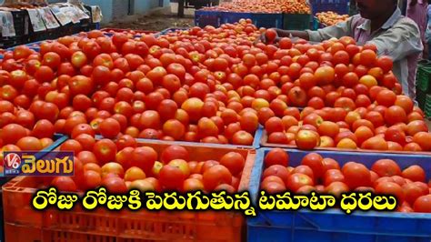 రోజు రోజుకి పెరుగుతున్న టమాటా ధరలు