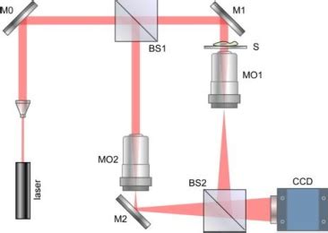 Figure 1 From Four Dimensional Motility Tracking Of Biological Cells By