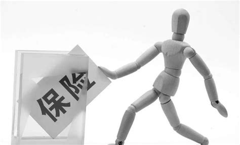 借款逾期后被保险公司代偿了，应该怎么办？ 知乎