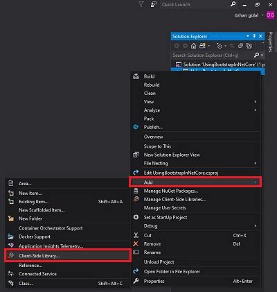 Net Core MVC İçerisinde Bootstrap Kullanımı ÇözümPark