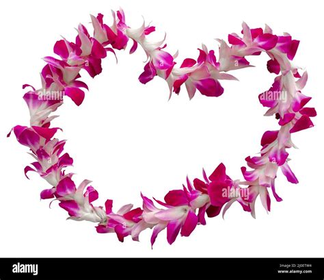 Hawaii Lei On A White Background Stock Photo Alamy